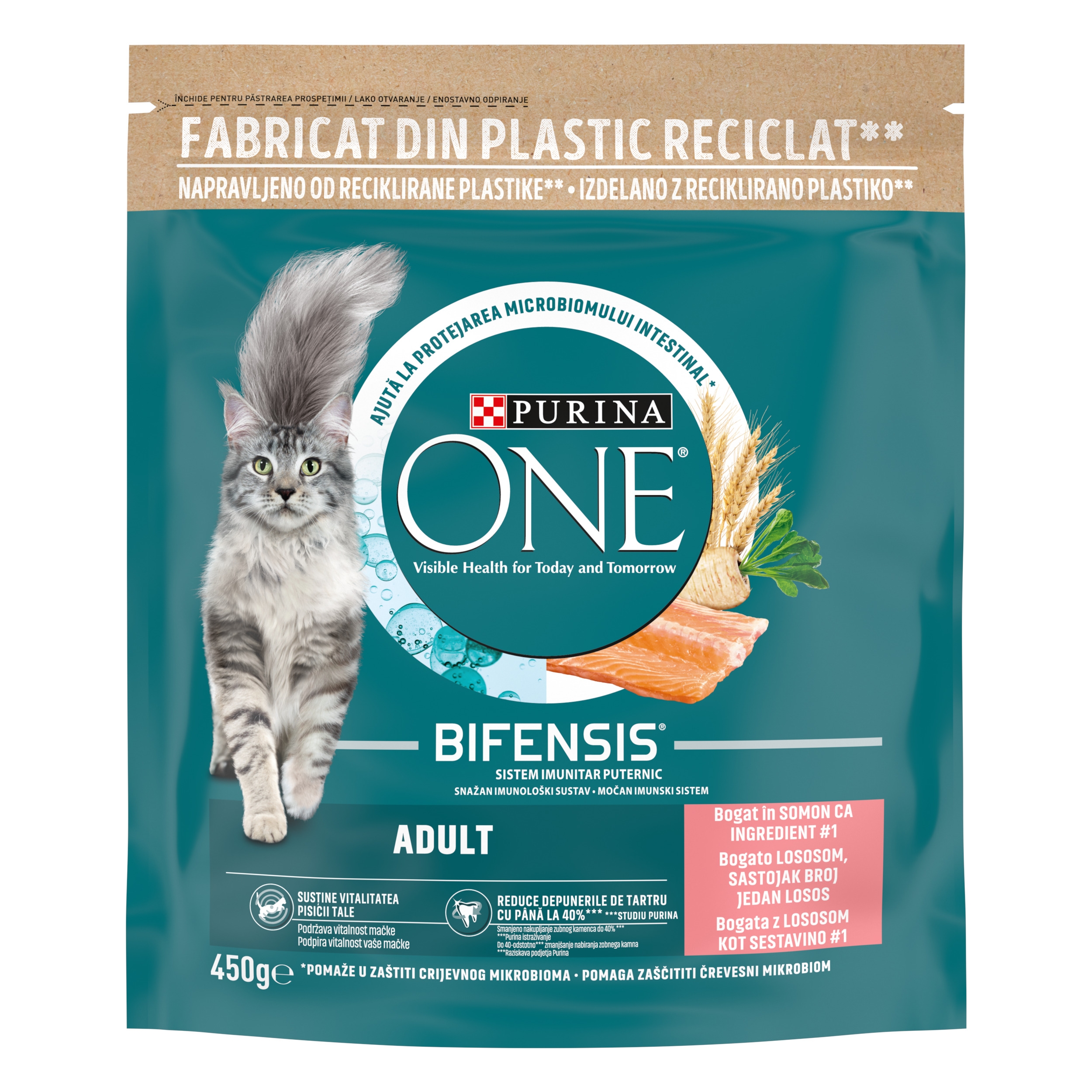 Purina One Adult suha hrana za mačke-b | Purina RS